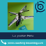 La position Méta : une compétence de coach - Coaching and Becoming